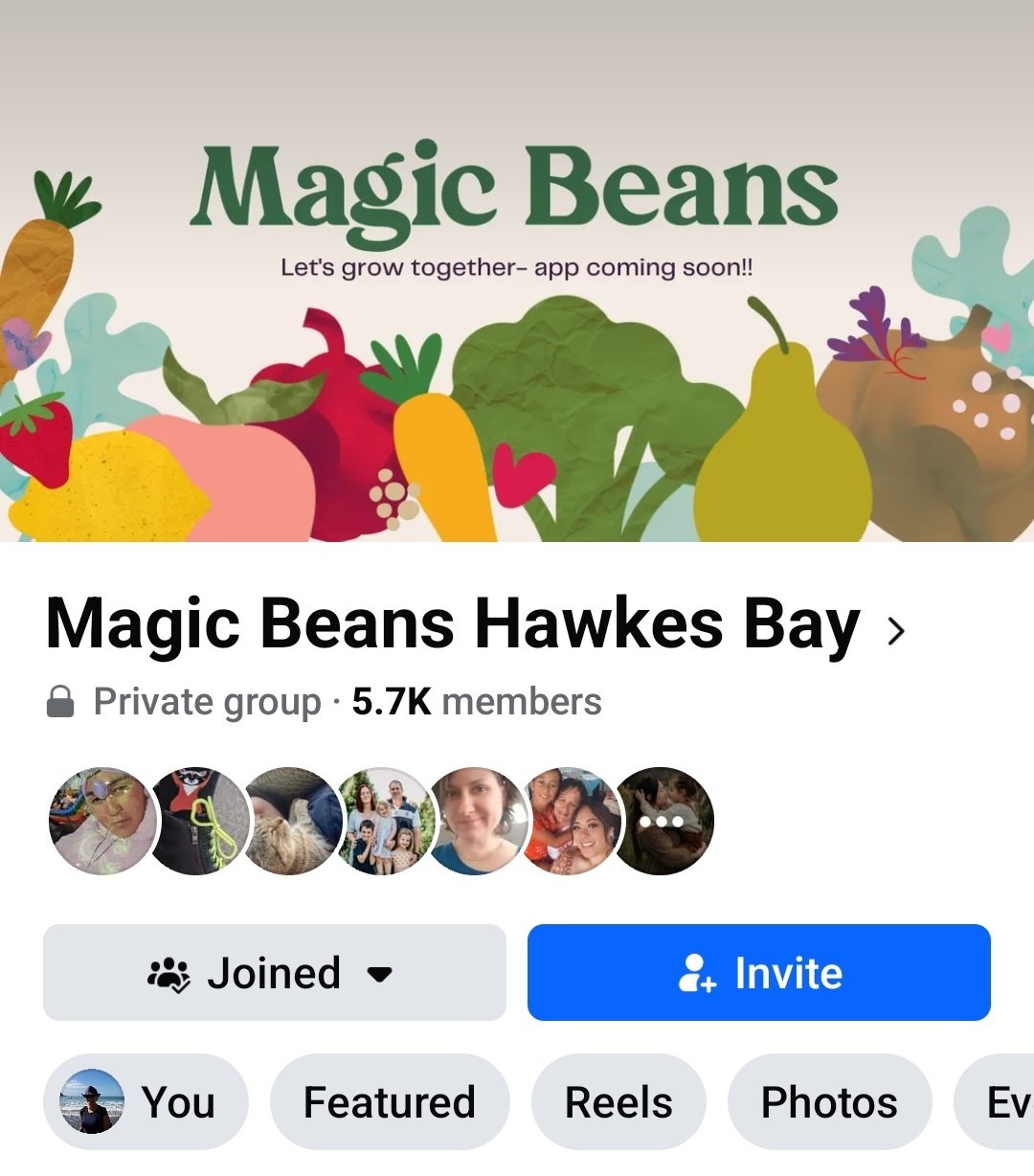 Case study: Magic Beans App – Firefly Advisory